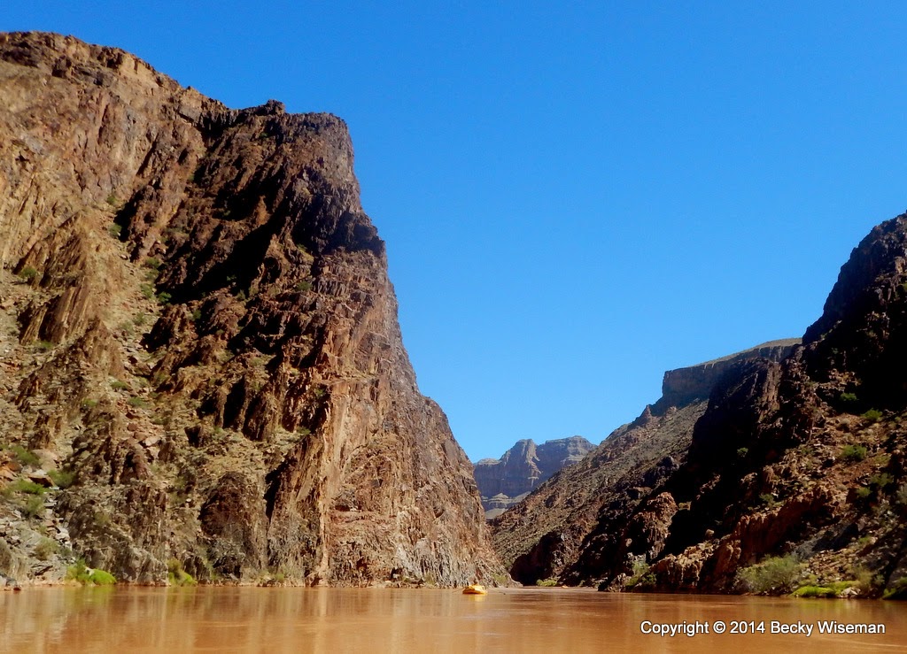 kinexxions: Day 14 - Pumpkin Springs to Mile 241