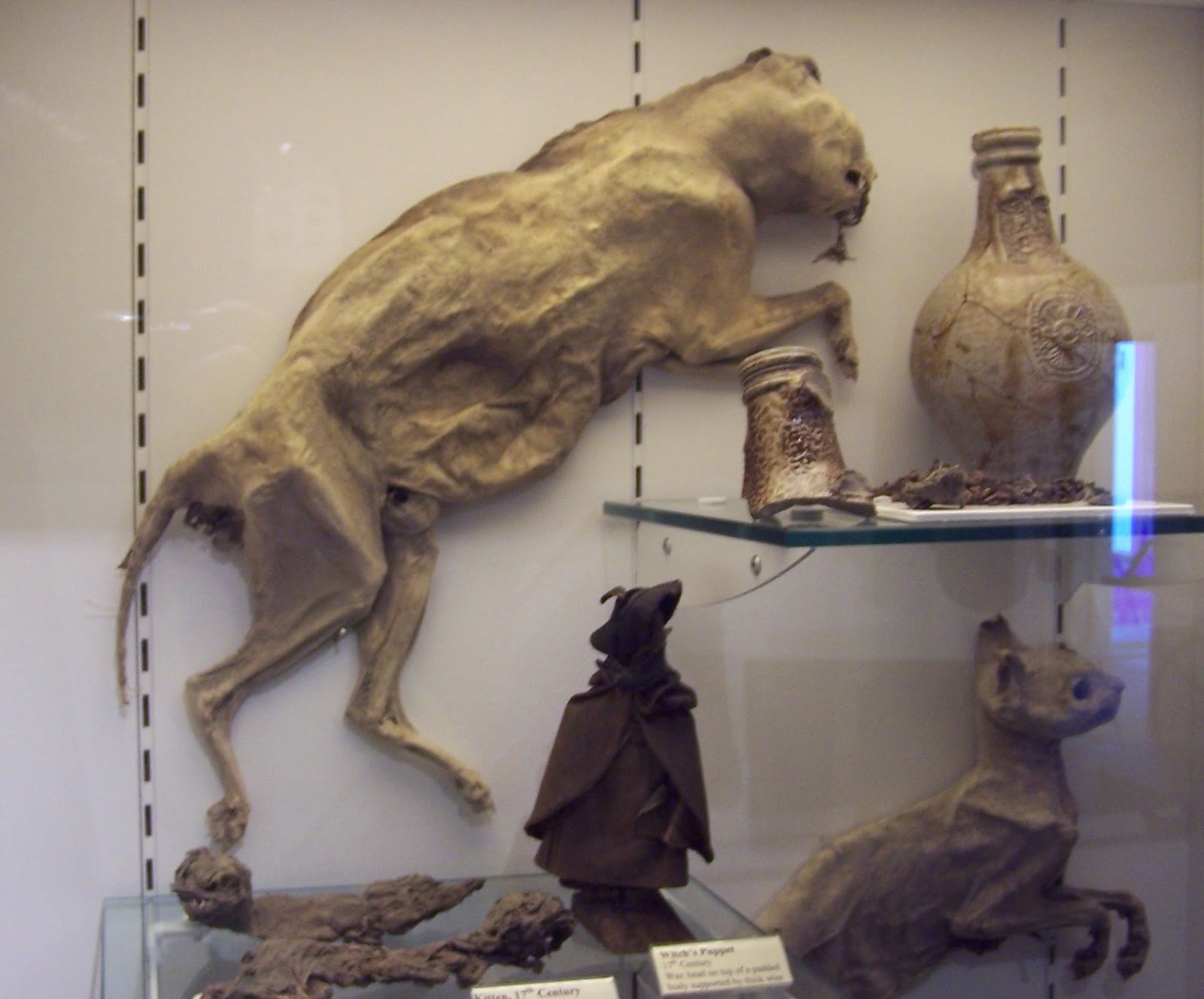 Matt Salusbury West Suffolk Mummified Cat Safari Matt Salusbury West Suffolk Mummified Cat Safari