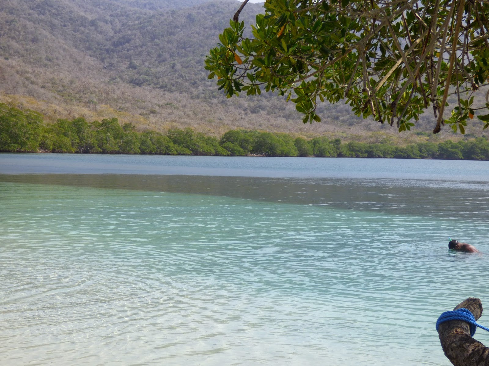 Guarapa Turística: La Ciénaga de Ocumare de la Costa