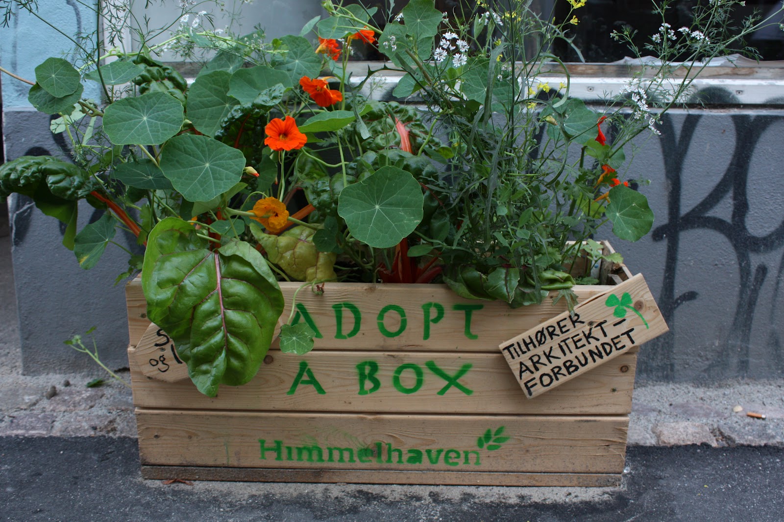 Adopt-A-Box: What is Adopt-A-Box?