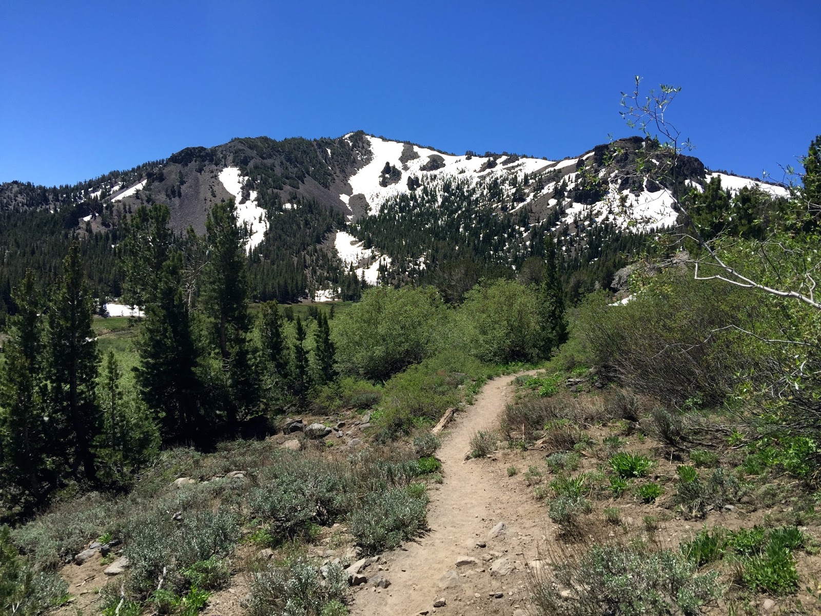 Mount Rose Peak Hike