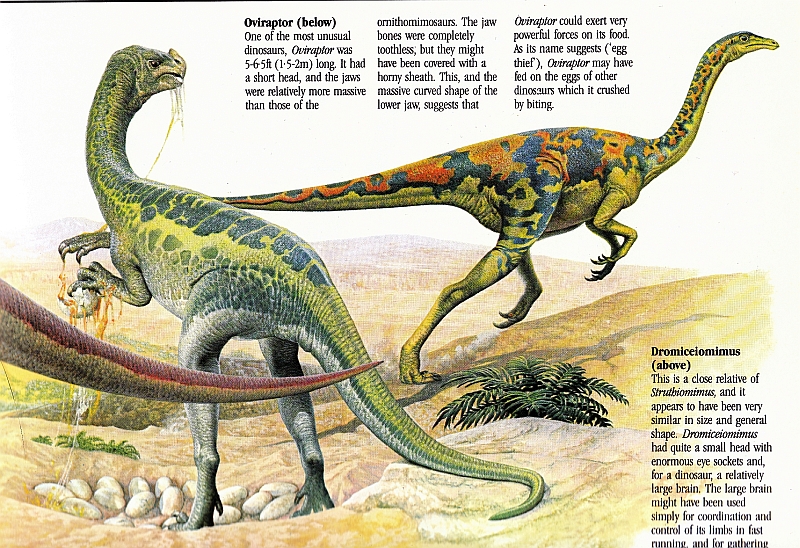 Love in the Time of Chasmosaurs: Vintage Dinosaur Art: The Illustrated ...