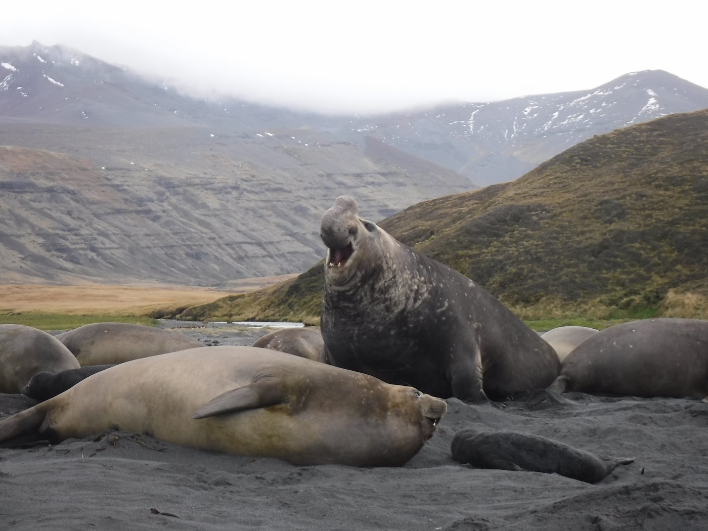 Blog officiel du district de Crozet - TAAF: Premières naissances (1/2)
