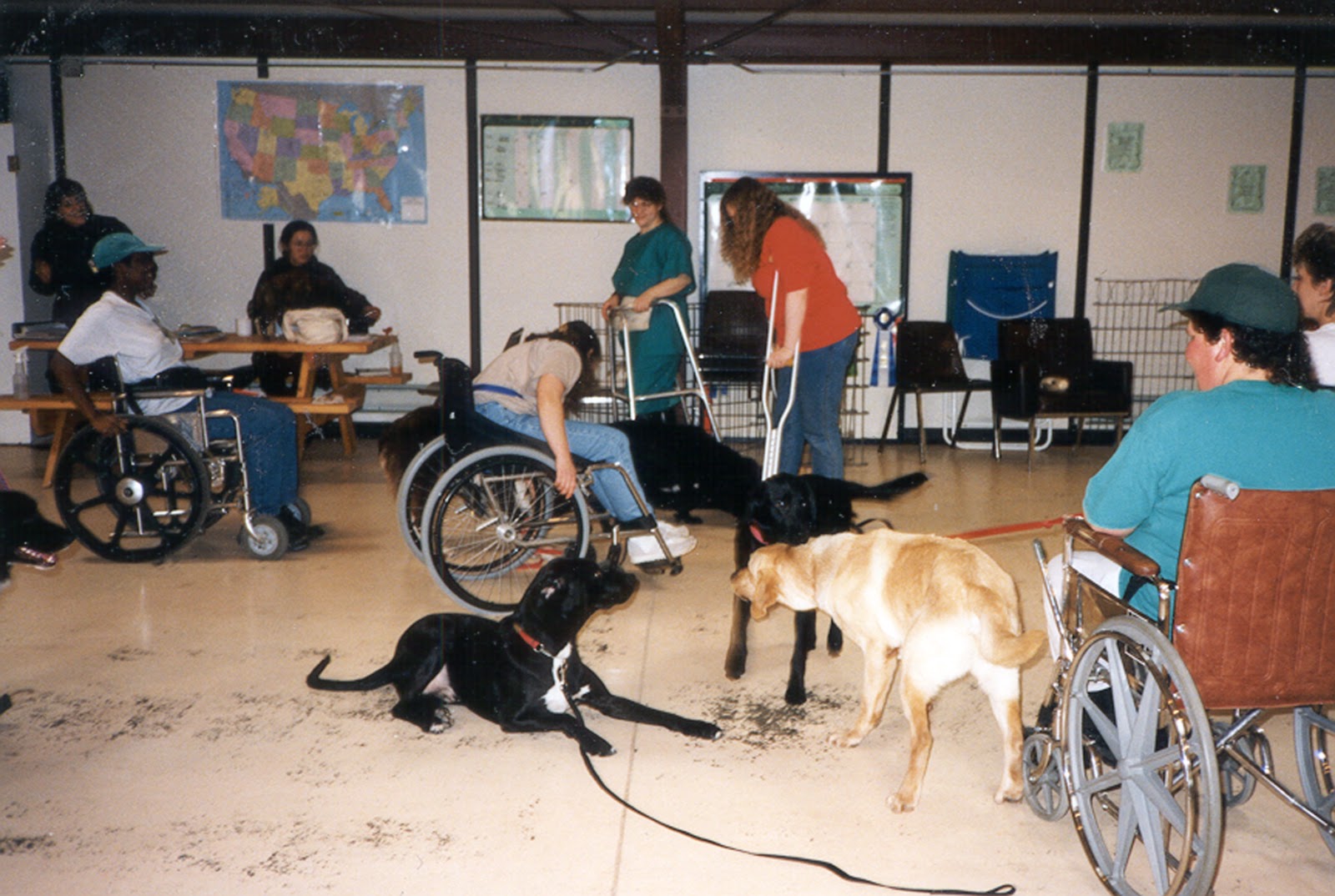 PRISON DOG PROGRAMS ~ BRIDGES and PATHWAYS of COURAGE: A FEW PRISON DOG ...