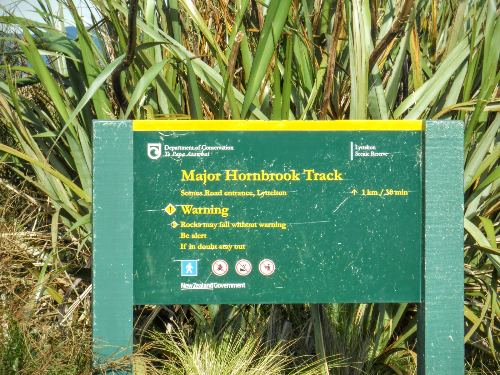 Tramping in the New Zealand backcountry: NZ Bush Adventures ...