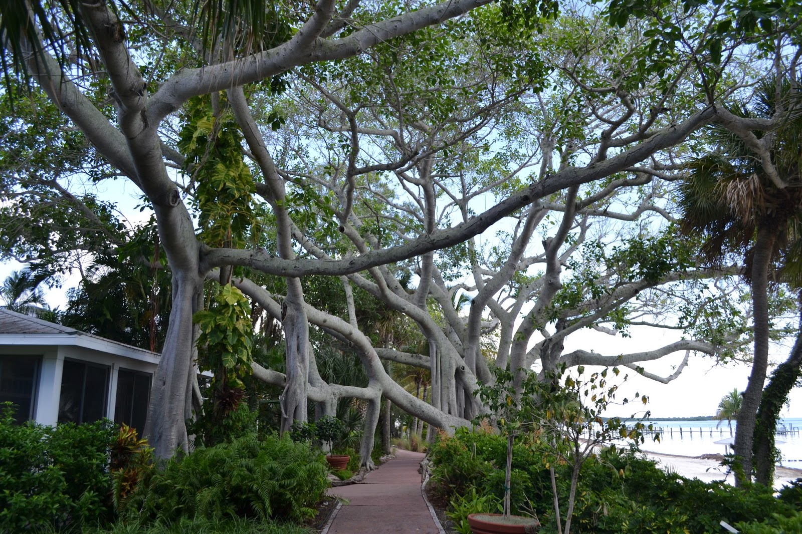 Suzanne's Travel Adventures: Useppa Island