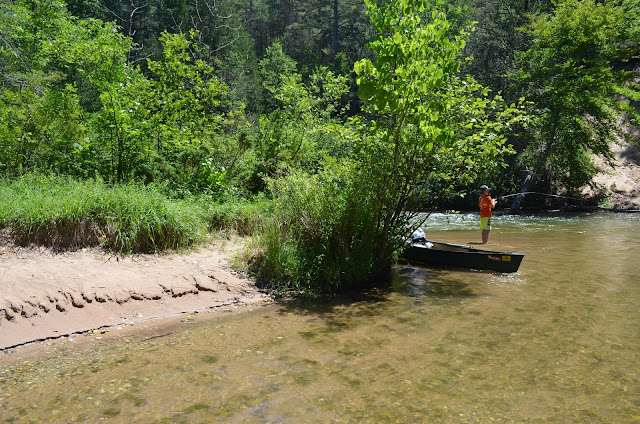 Canoeing In Ohio: Pine River, MI - Briar Patch to Low Bridge