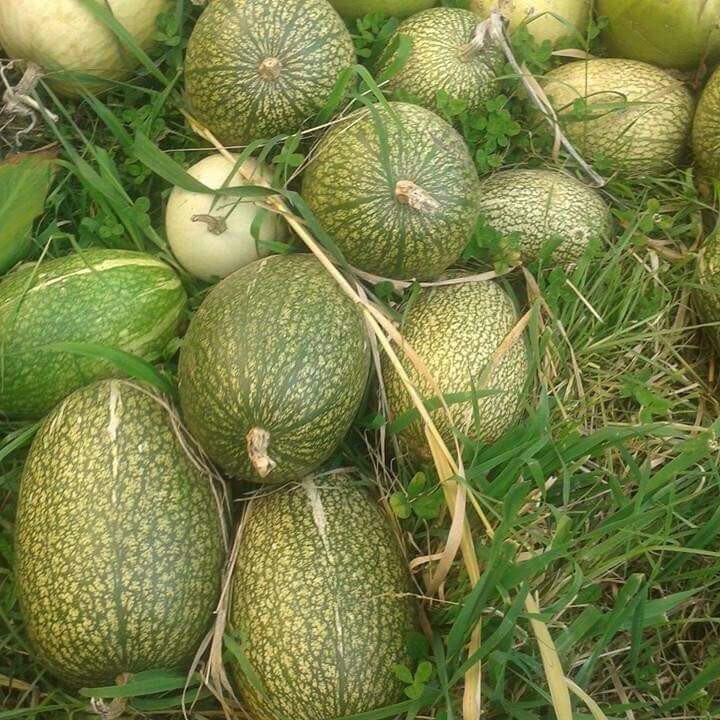 Alimentos Sagrados que Sanan: Supalata, deidad de la alimentación de ...