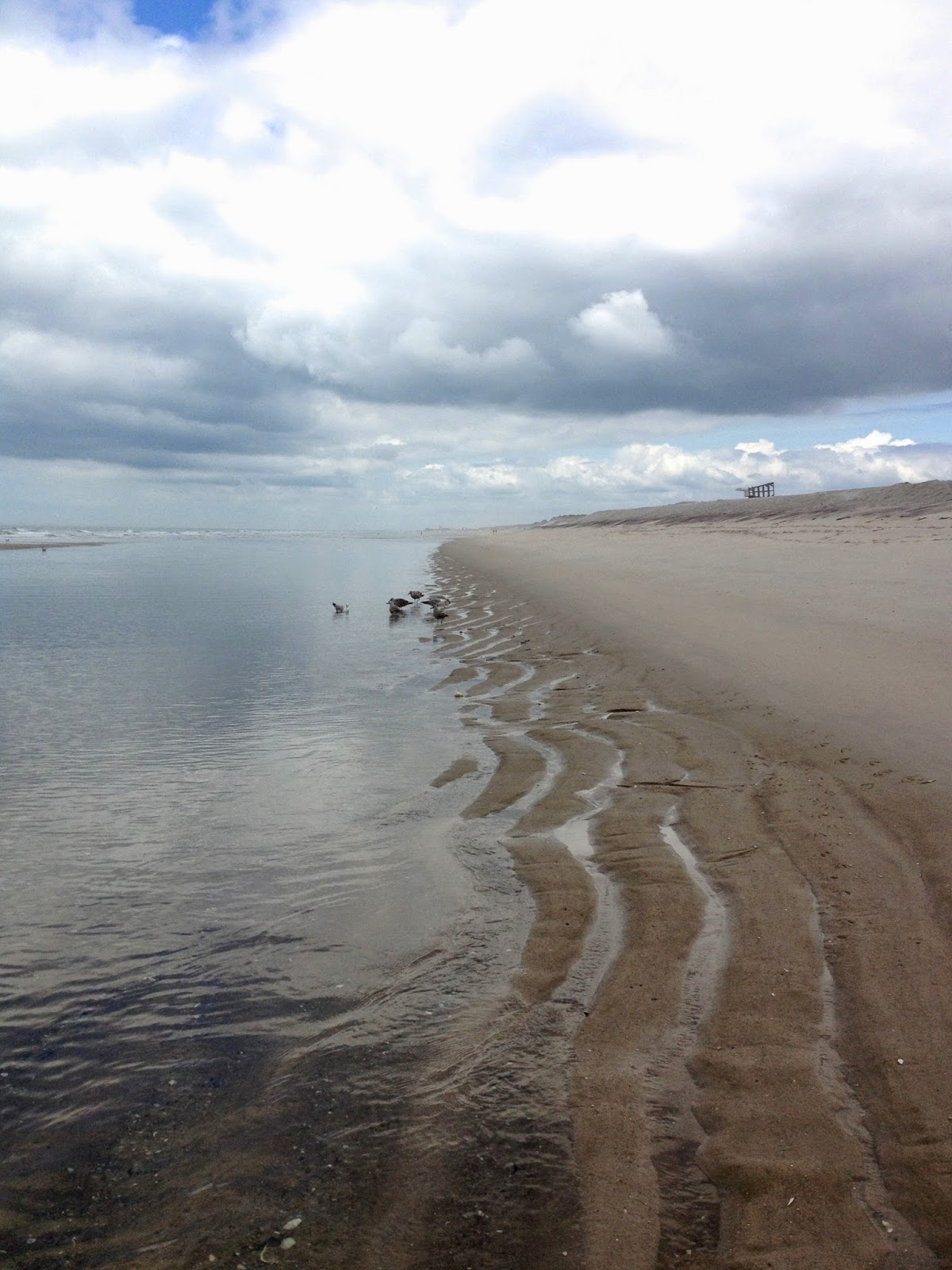 About New York: First Robert Moses Beach Day of the Year