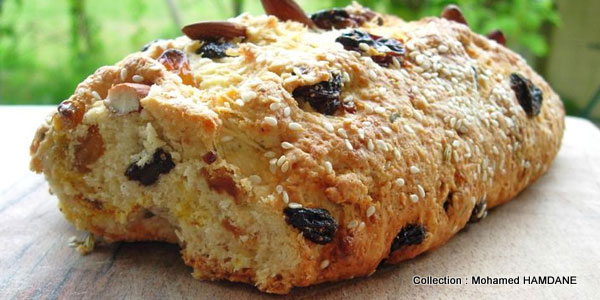 CULTURE et PATRIMOINE DE TUNISIE EN IMAGES- MOHAMED HAMDANE-ثقافة وتراث ...