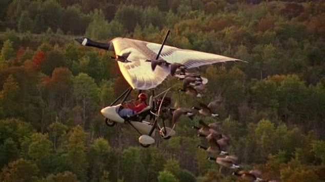 Can't Explain: Fly Away Home (1996)