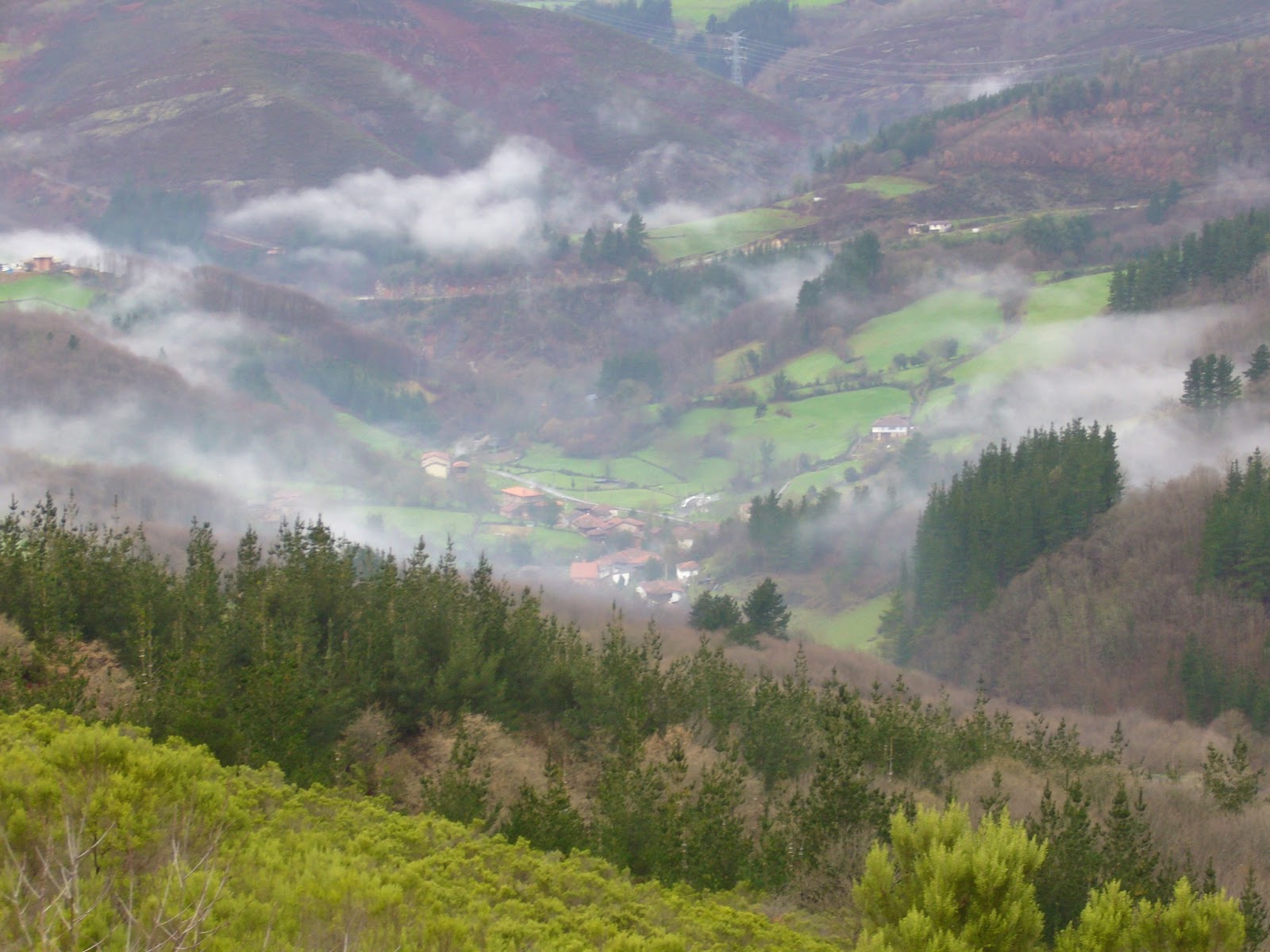 TINEO EN VERDE: TINEO XXI. Valorización y Recuperación del Patrimonio ...