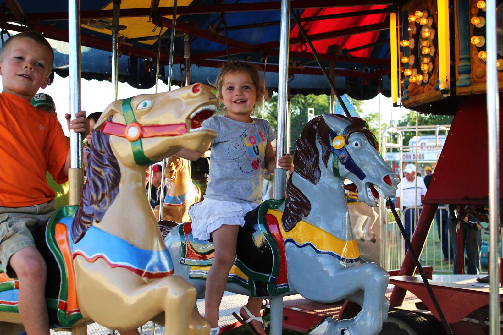 The Niewald Kitchen Table : Cotton Candy, Farm Animals, and Rides