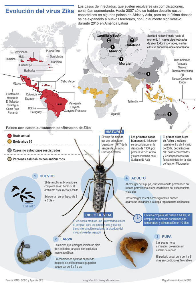 microBIO: Zika