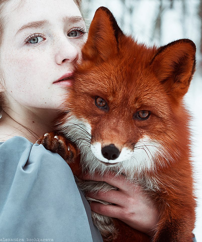 White Wolf : The Girl And The Fox Cuddle In Beautiful Photographs by ...