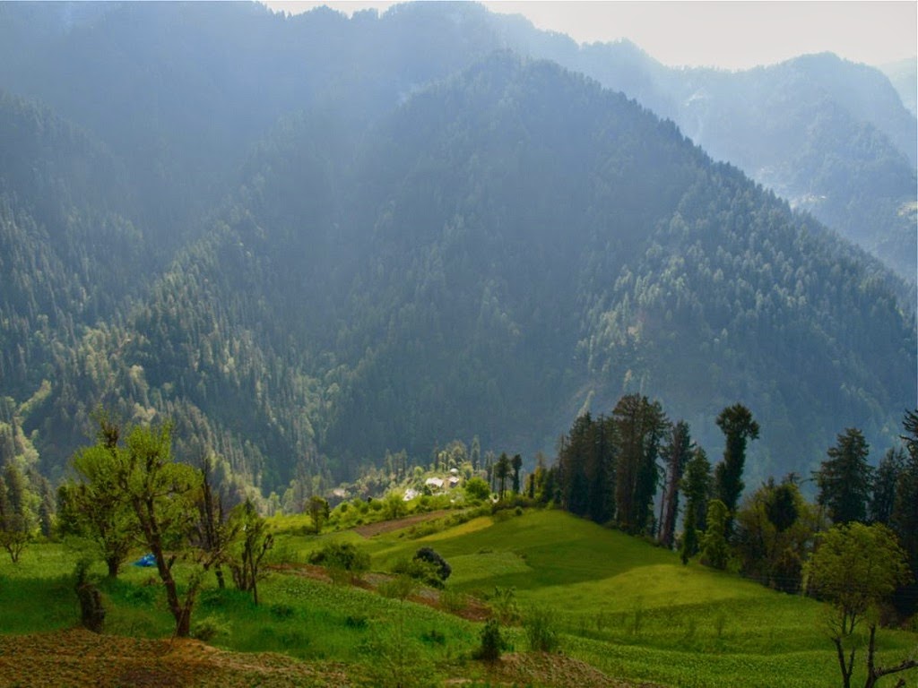Shoja the most beautiful destination in Himachal Pradesh