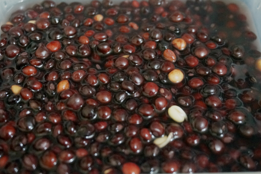 Food: Kadyos, Baboy, Langka (KBL) | An Authentic Ilonggo Recipe - Jello ...