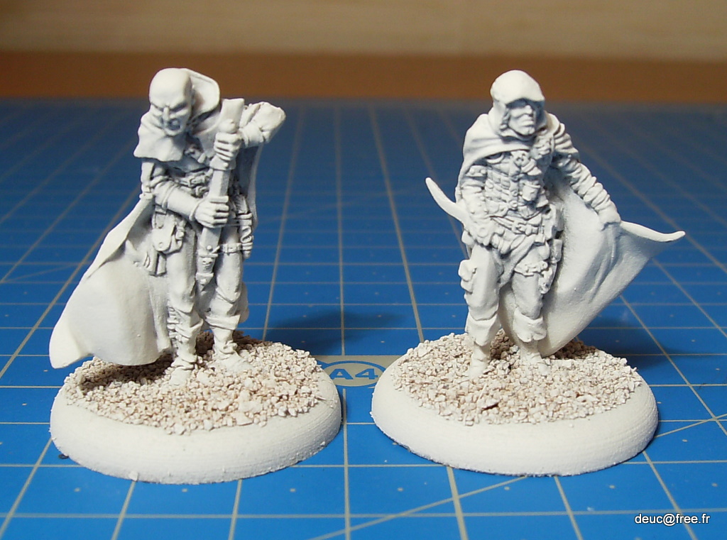 3D Board Games And Miniatures: Cadwallon - Les renforts arrivent