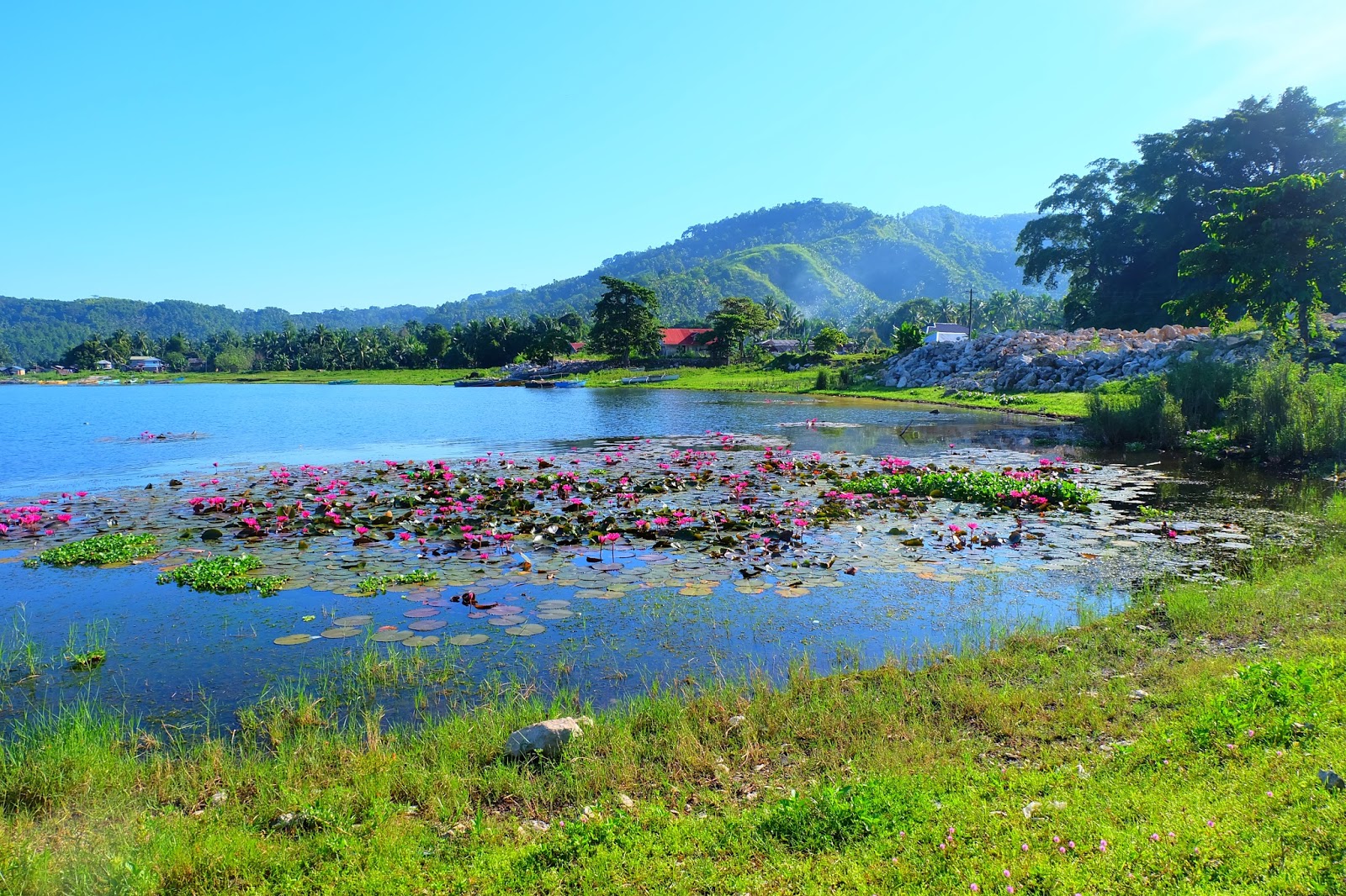 Lake Mainit in Agusan Del Norte - From The Highest Peak to The Deepest Sea