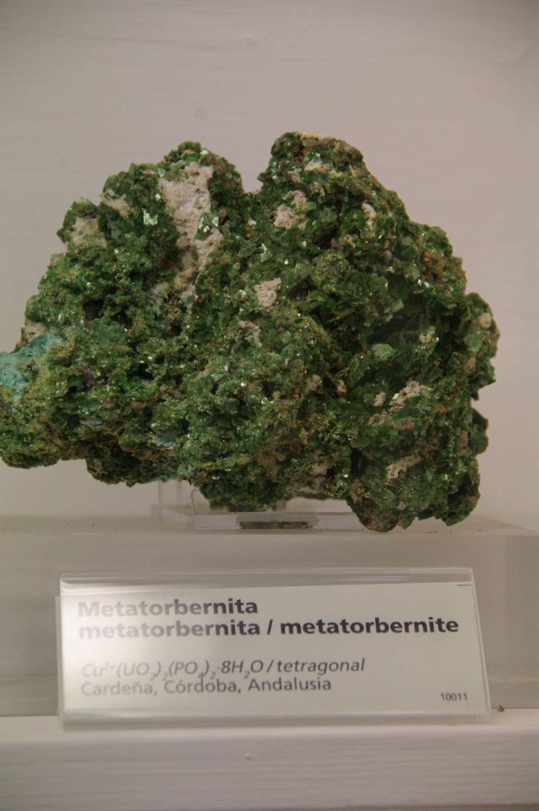 Las piedras de Juan María: Museo Martorell: Minerales 22