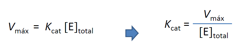 Bioquímica : Propiedades de las Enzimas