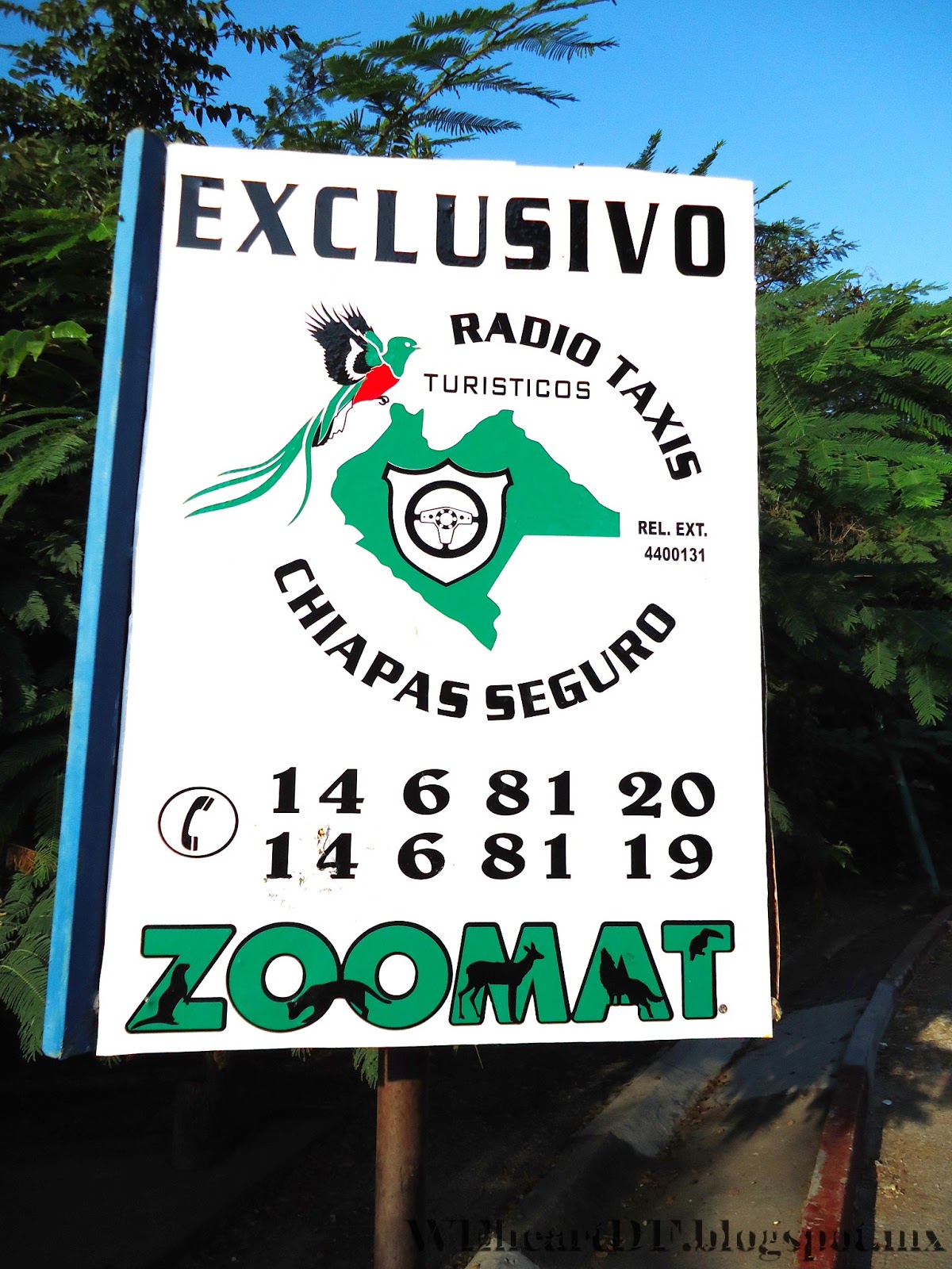 WEheartDF: Visitando el ZOOMAT