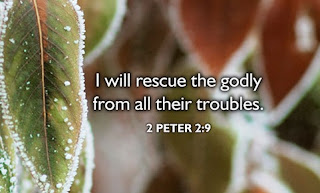 IMMANUEL GOD WITH US: I will rescue the godly from all their troubles.