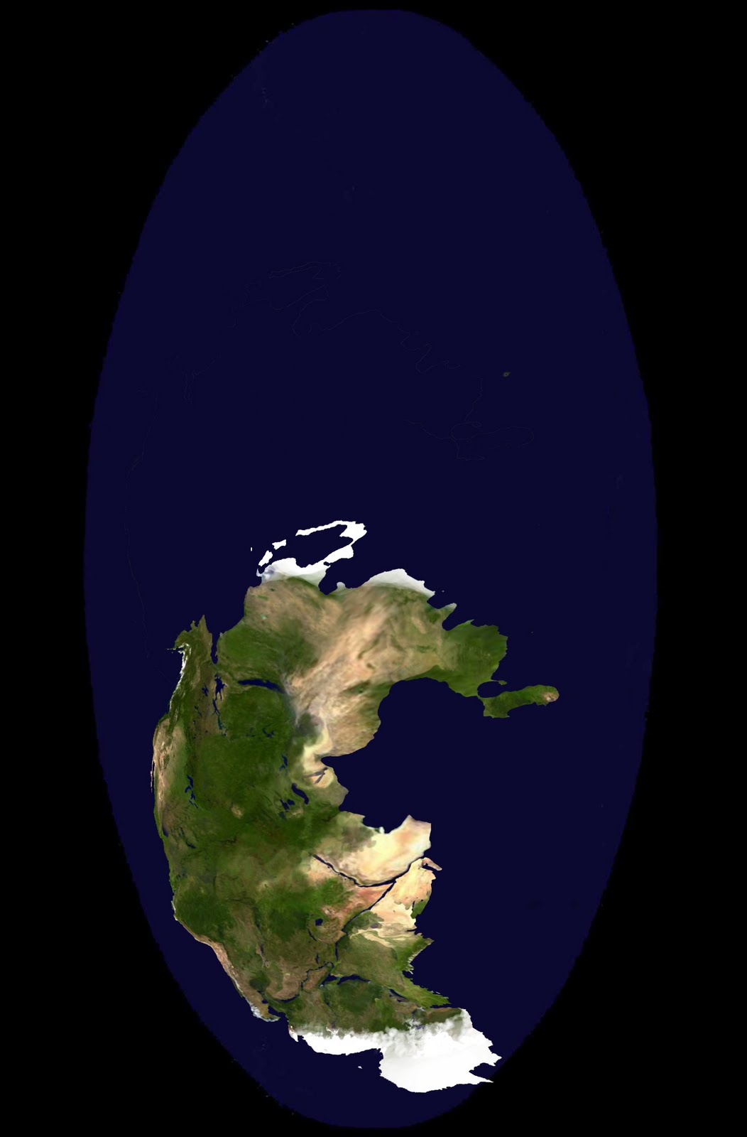 Blemya Português: Uma crônica de 400 milhões anos sobre nossa ...