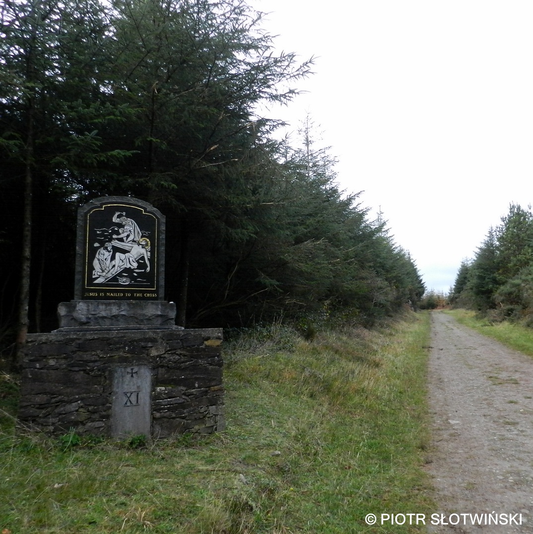 piotrslotwinski.com: Corrin Hill