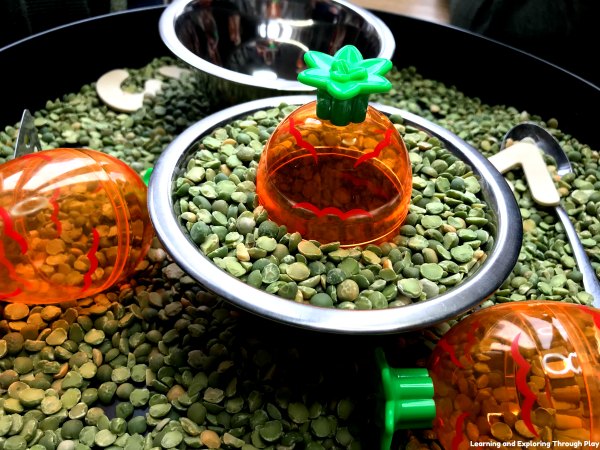 Learning and Exploring Through Play: Split Pea Number Sensory Play