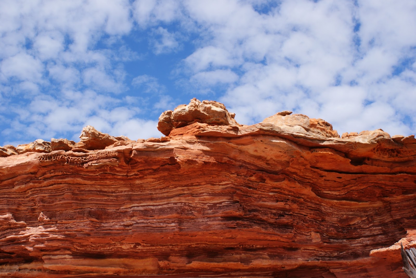 Amelia the explorer: Kalbarri, Western Australia