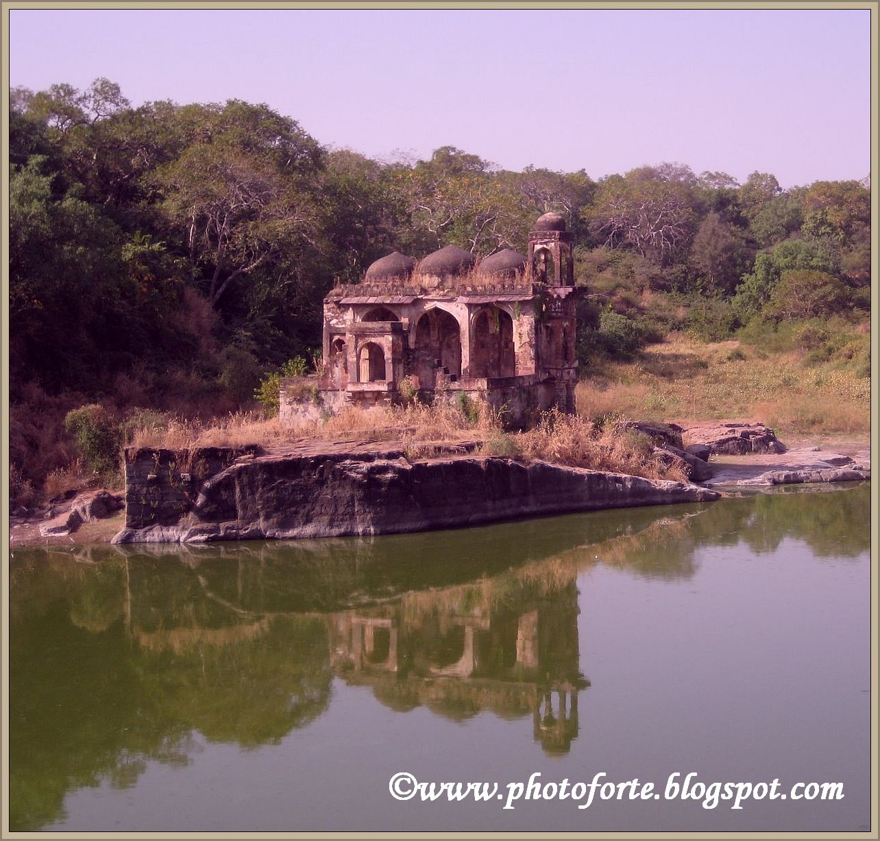 Light and Lenses: Fort in Forest