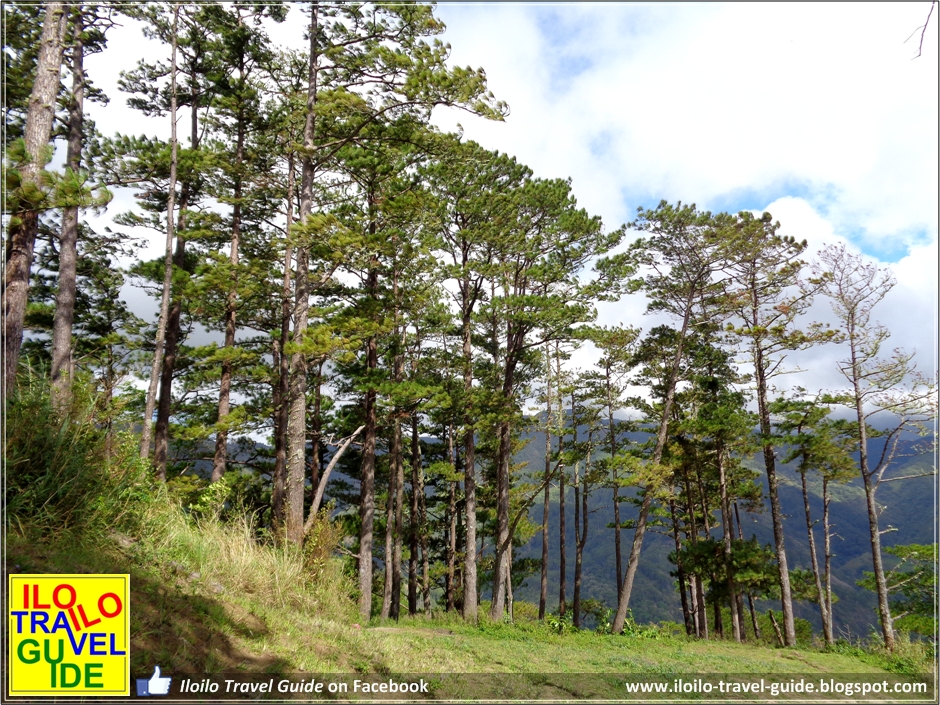 Bucari, Leon: Iloilo's "Little Baguio" and Summer Capital