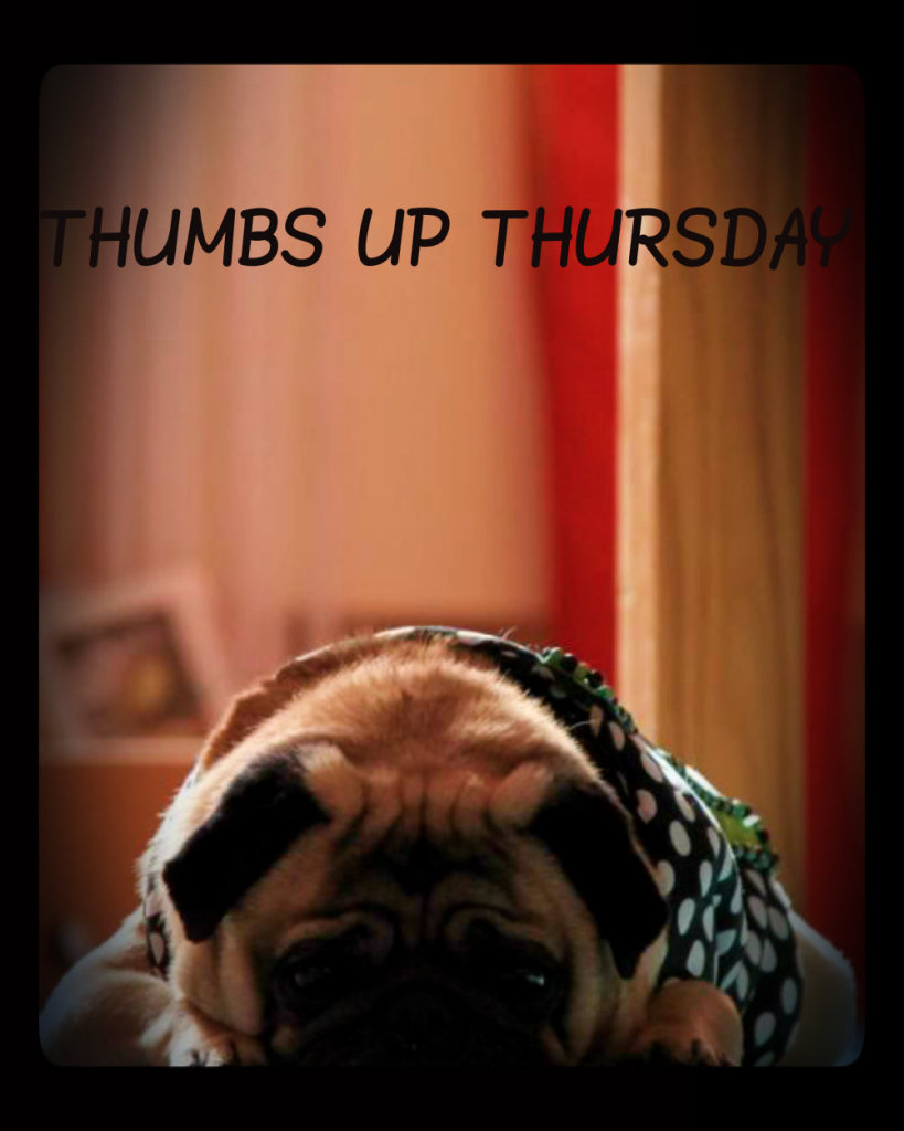 PADDYWAK PUGS: Thumbs Up Thursday
