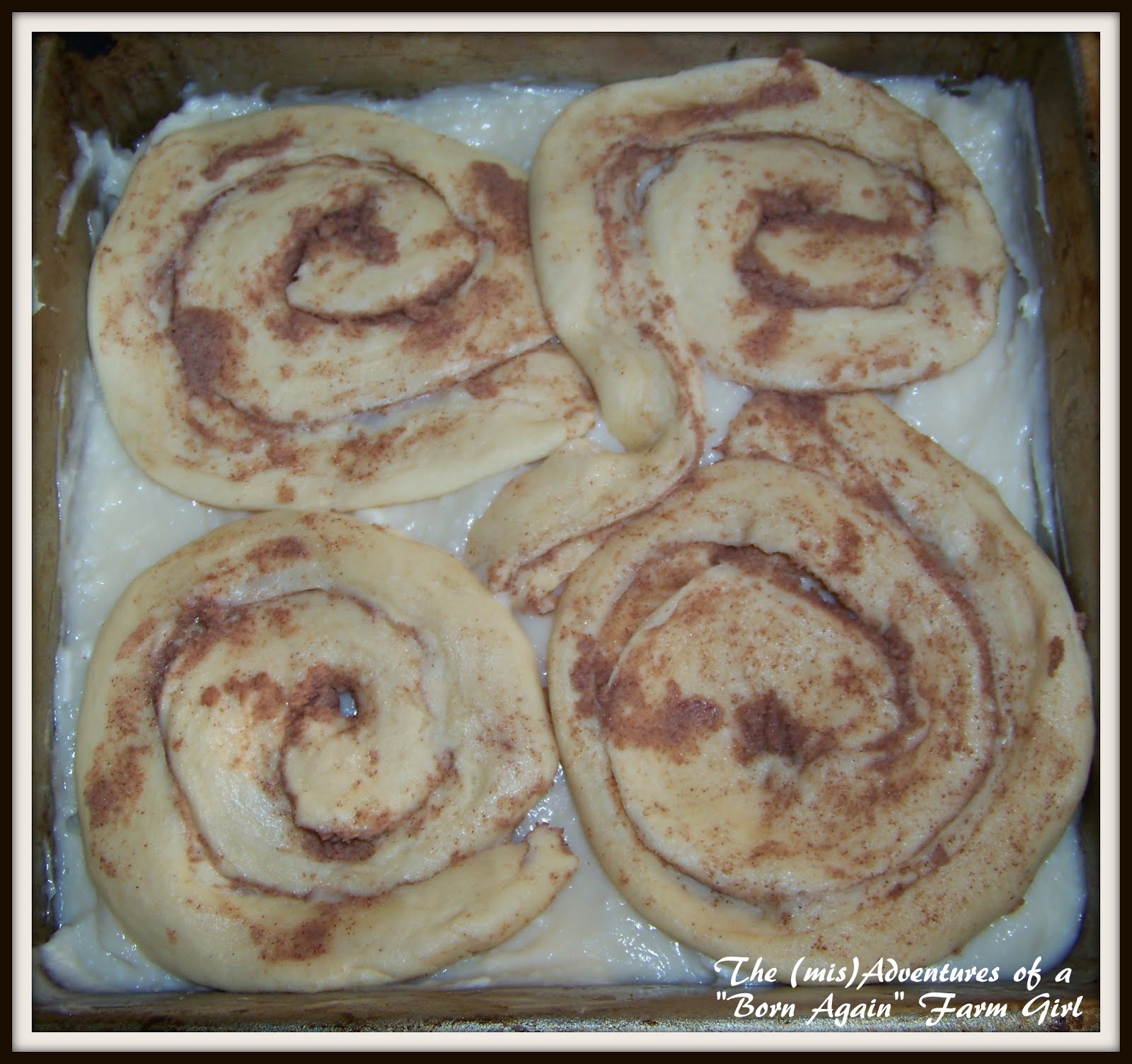 The best dang cinnamon rolls EVER - The (mis)Adventures of a ...