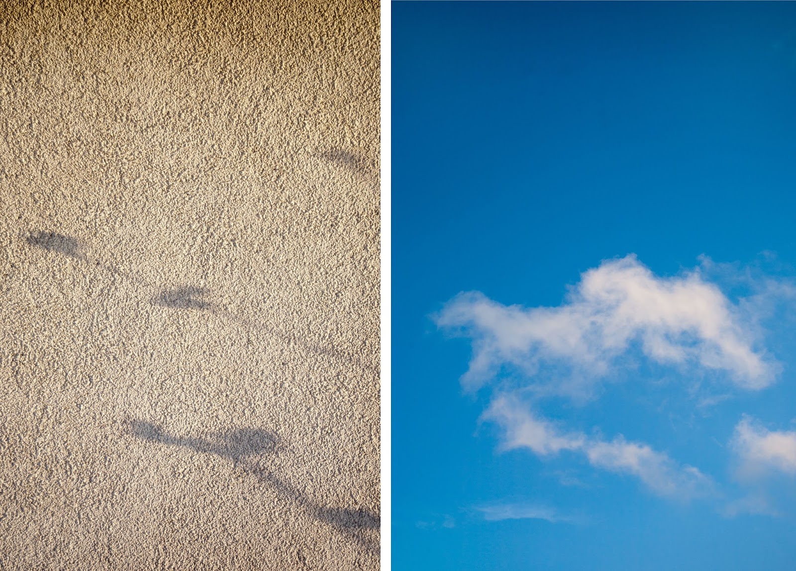 Anna Stachowicz: 2017