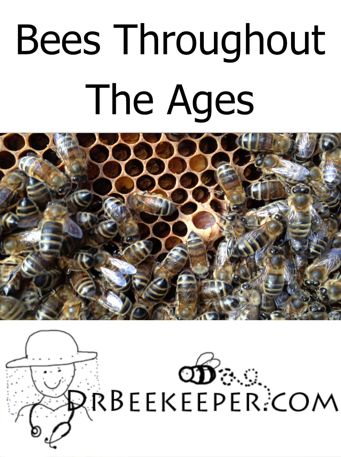 Introduction to my new series about ‘Bees Throughout The Ages ...