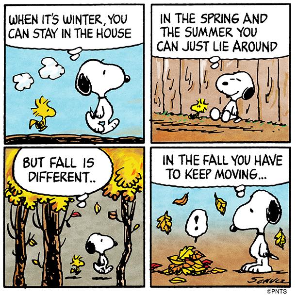 Vraie fiction: November 2016