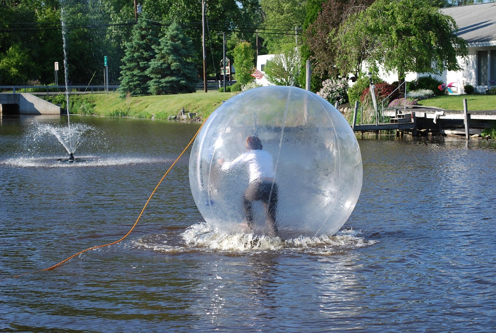 This and That and More of the Same: Hamster balls