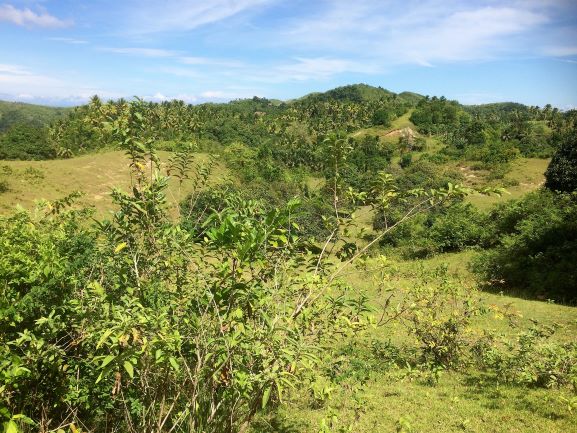 Soil and Environment: Cebu Highlands: some notes on the agricultural ...