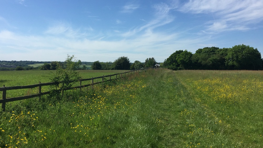 London underfoot: Hillingdon Trail 2: West Ruislip - Harefield ...