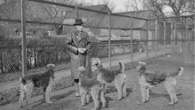 Terrierman's Daily Dose: The British War Dogs Training School