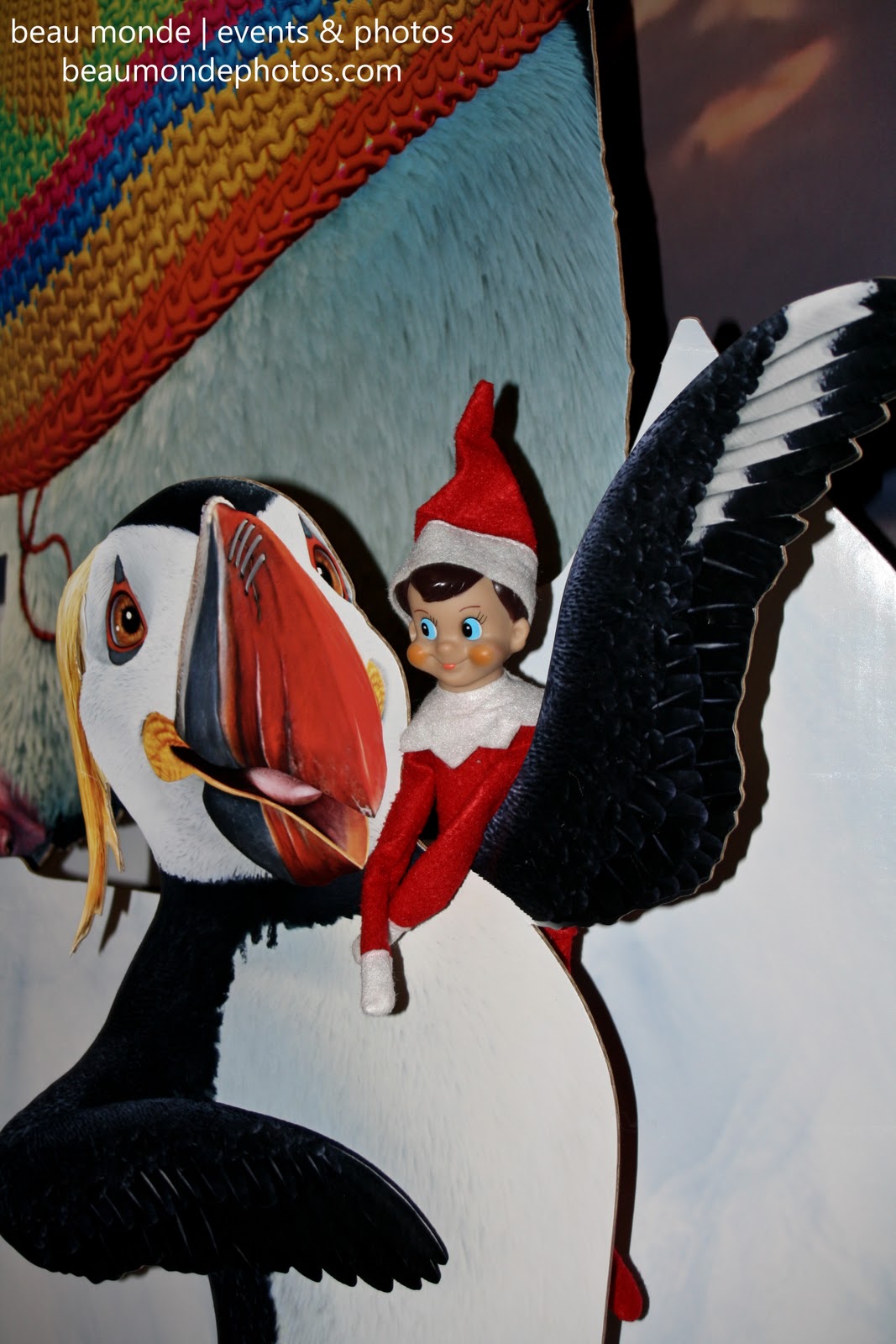 beau jangles : elf photographer