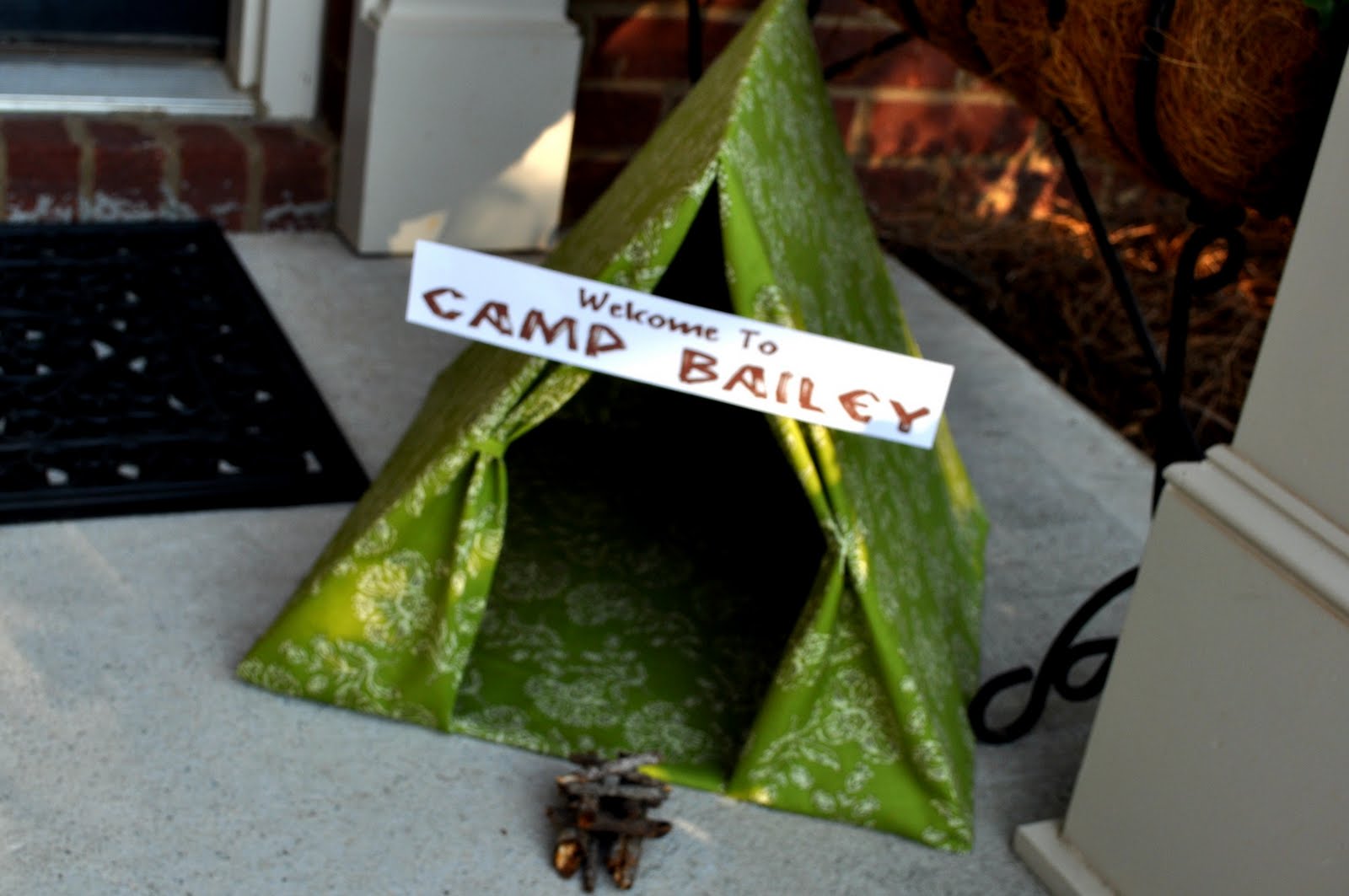 Werdyab Blog: Camping Birthday Party