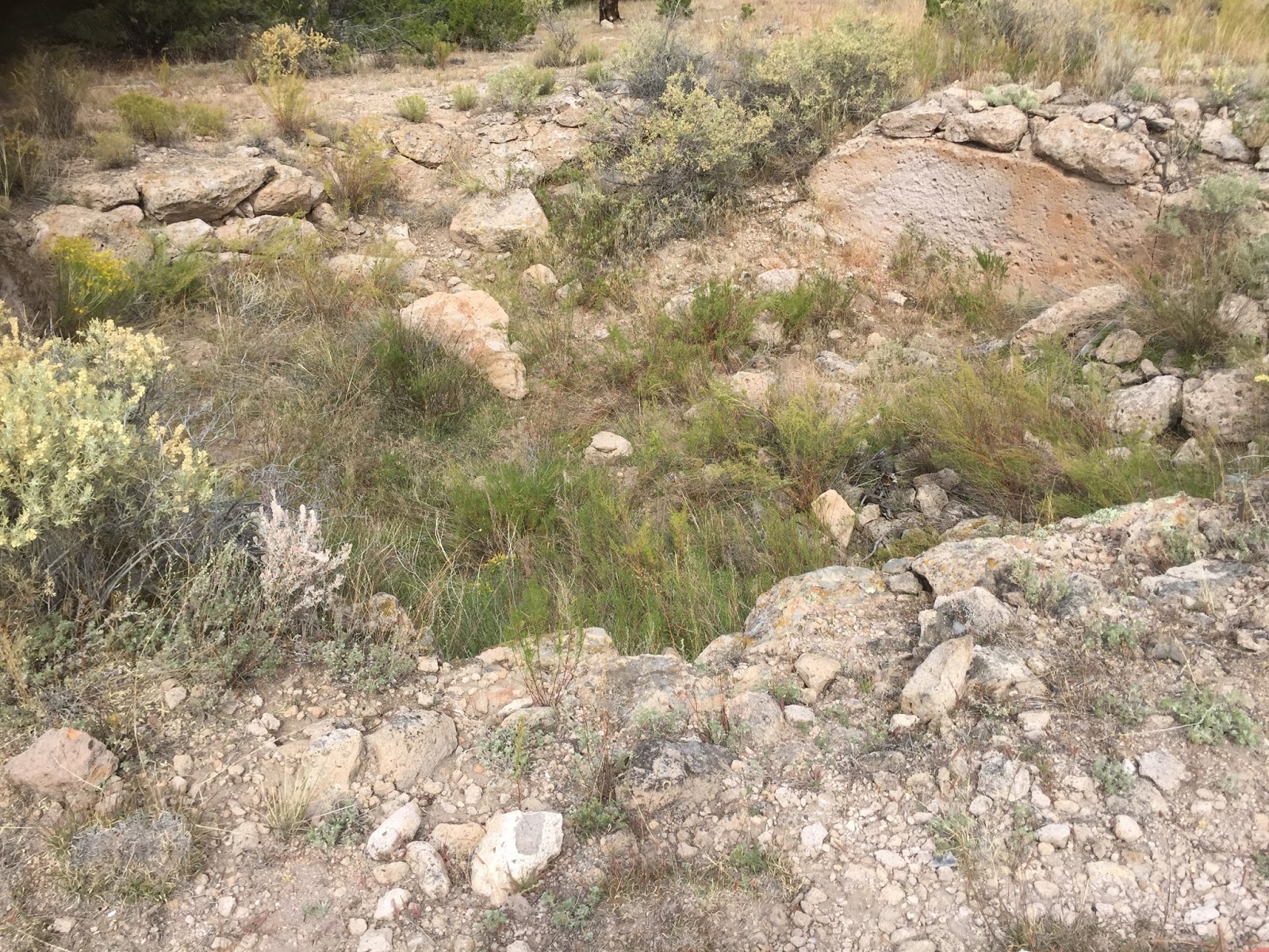 Southern New Mexico Explorer: Tsi-p'in-owinge( Mesa del Pueblo)- Santa ...