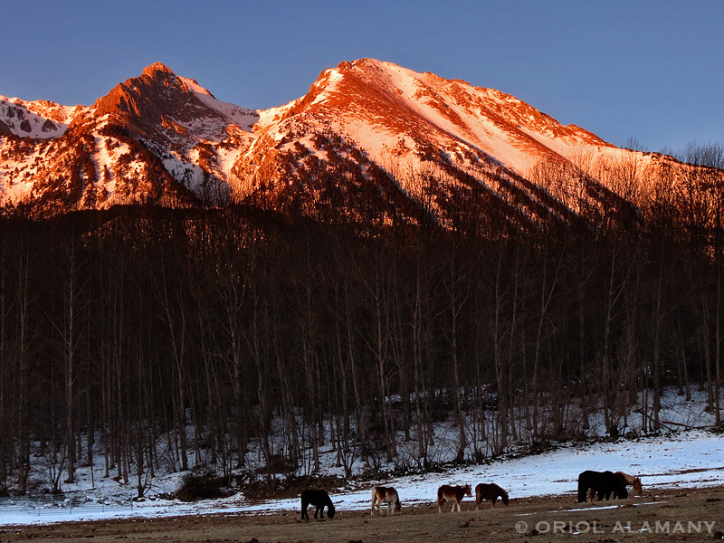 Oriol Alamany - Imágenes Vivas: • Canon SX40 HS, ¿el sueño del ...