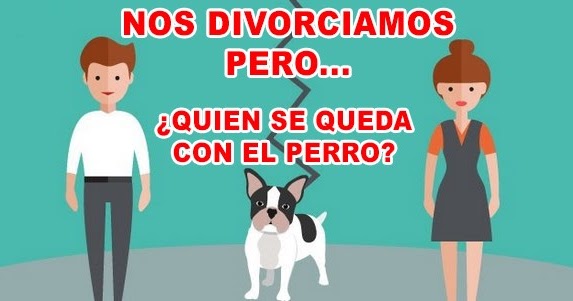 [NOS DIVORCIAMOS] Y ahora?.... ¿Quien se queda con los animales ...
