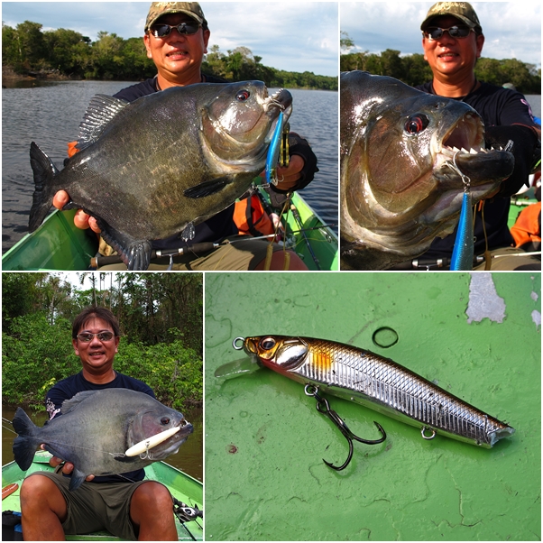 ANGLING WORLD 魔魚釣界: Adventure Fishing @ Amazonia Rio Negro