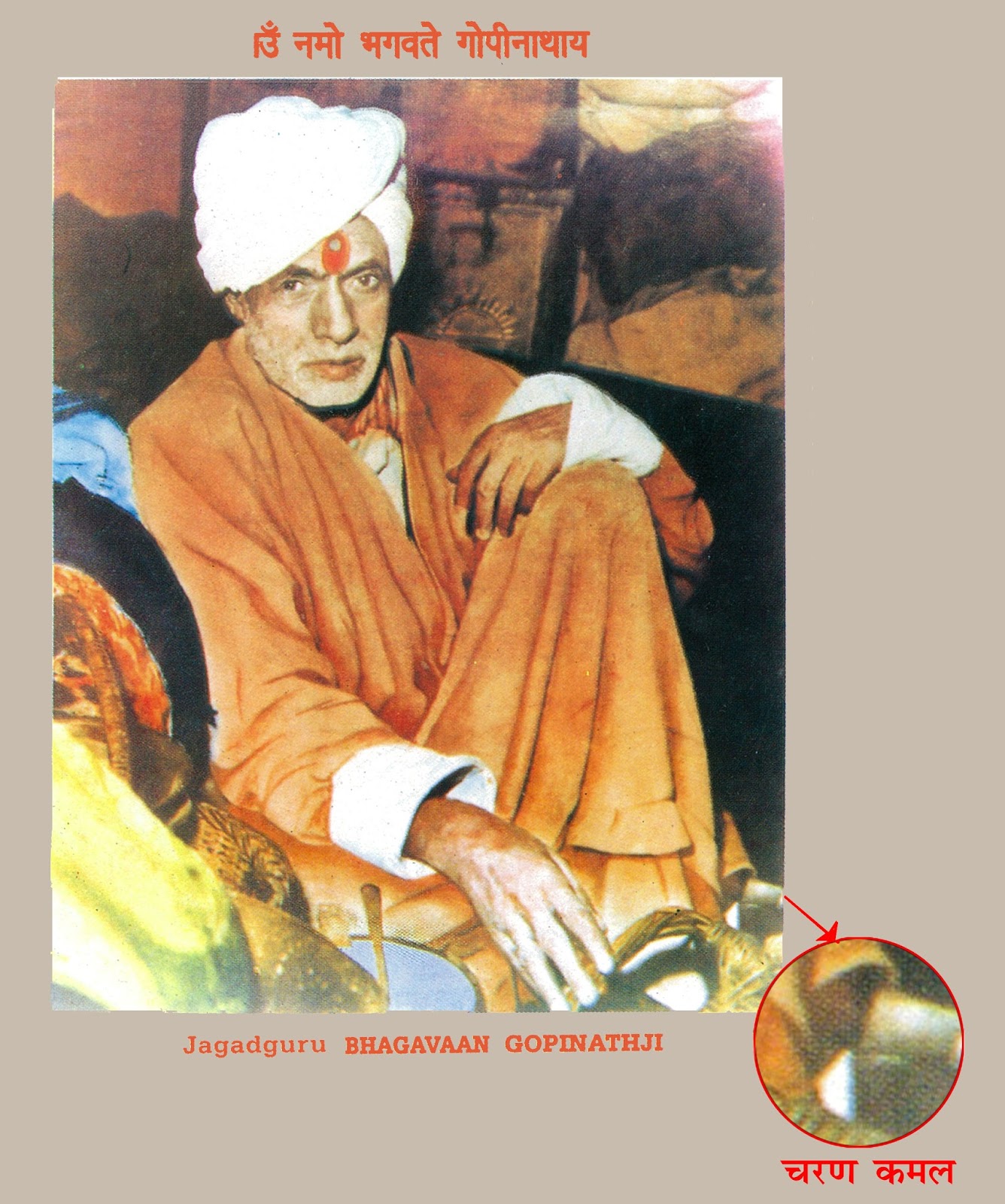 THE BITTER TRUTH: Bhagawan Gopinath Ji