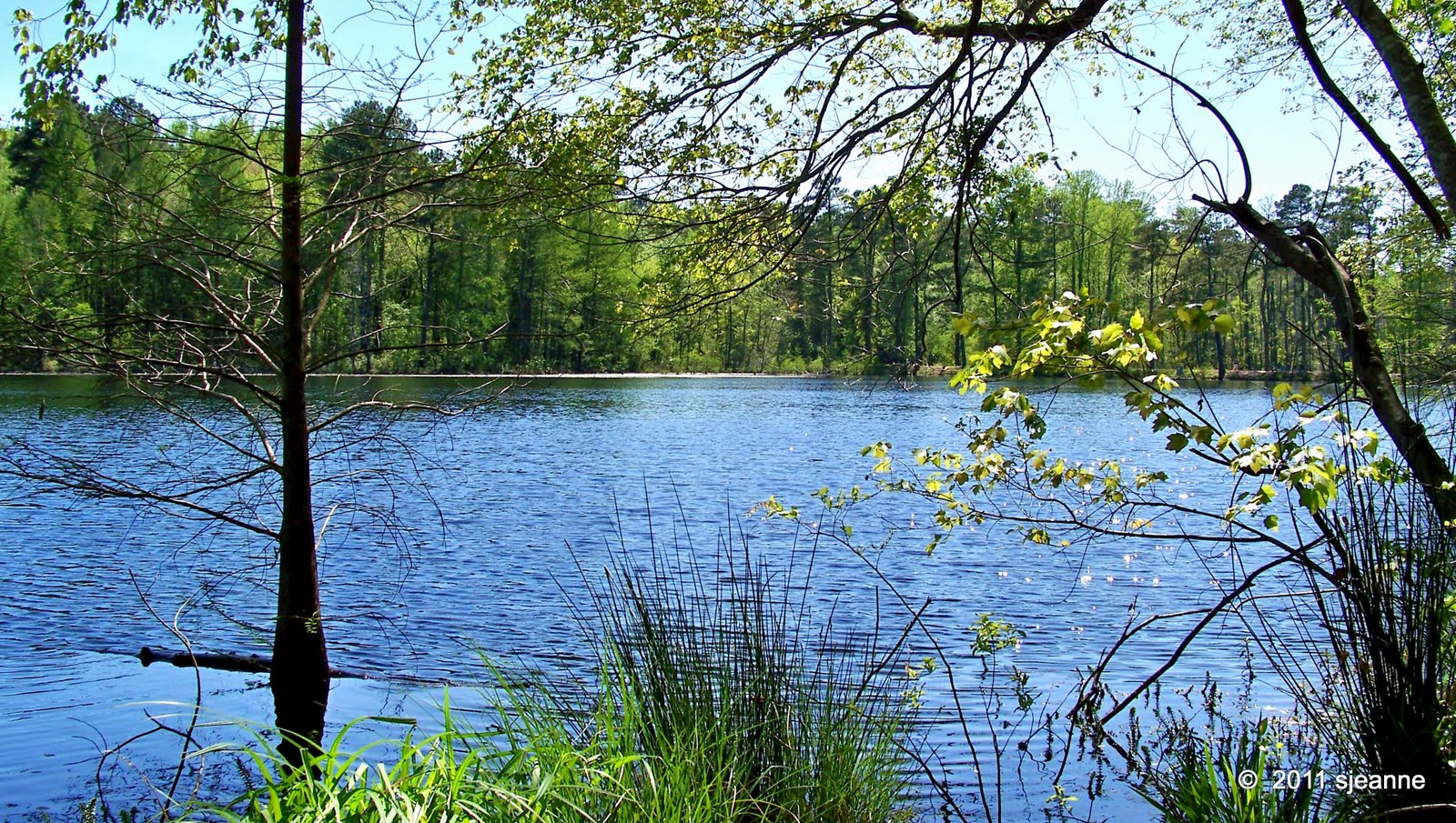 Project Rewire: Peace. Tranquility. Harmony. All alive and well for ...